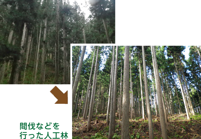 ecotax_img-01 | 公益財団法人やまがた森林と緑の推進機構